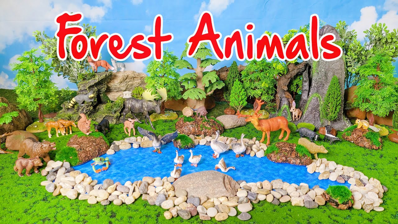 Fun Adventure With Forest Animals - Learn About Deer, Bears, Foxes And ...