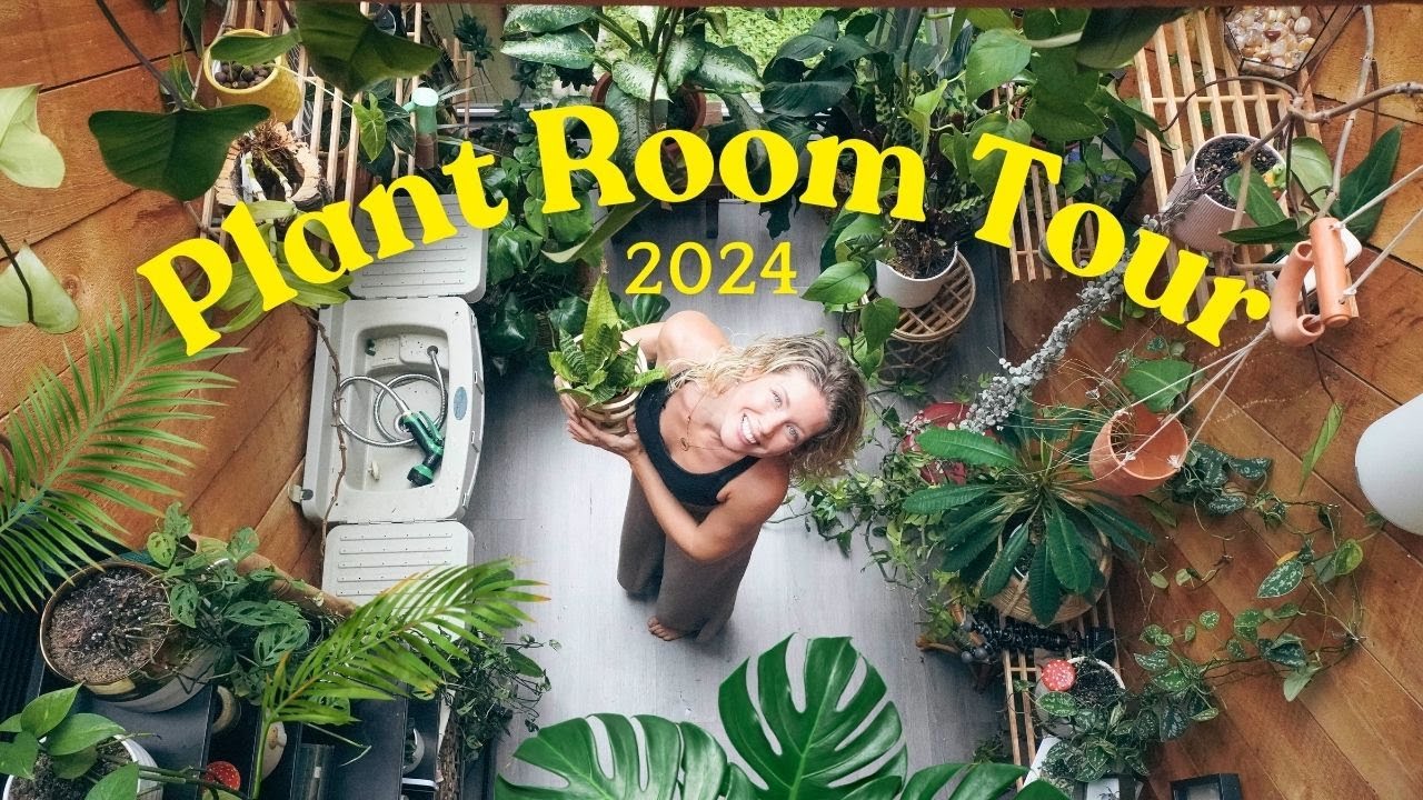 My Full Plant Room Tour | Incredible Collection 100+ Plants - YouTube