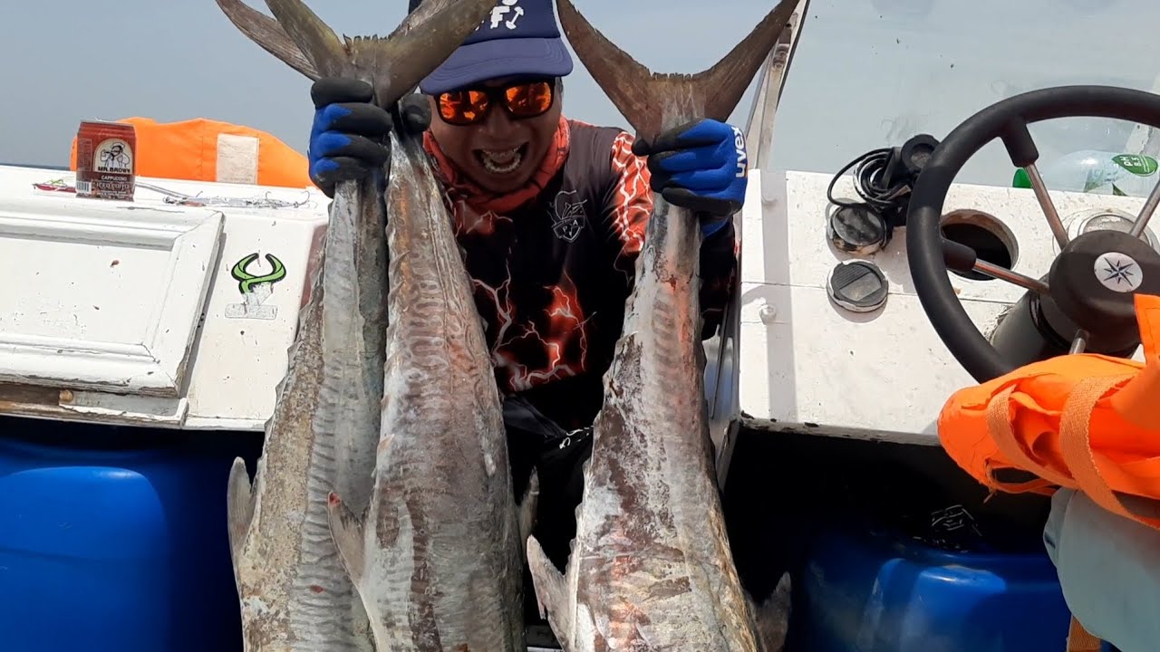 We found the hideout school fish of kingmckerel|kingfish fishing # ...