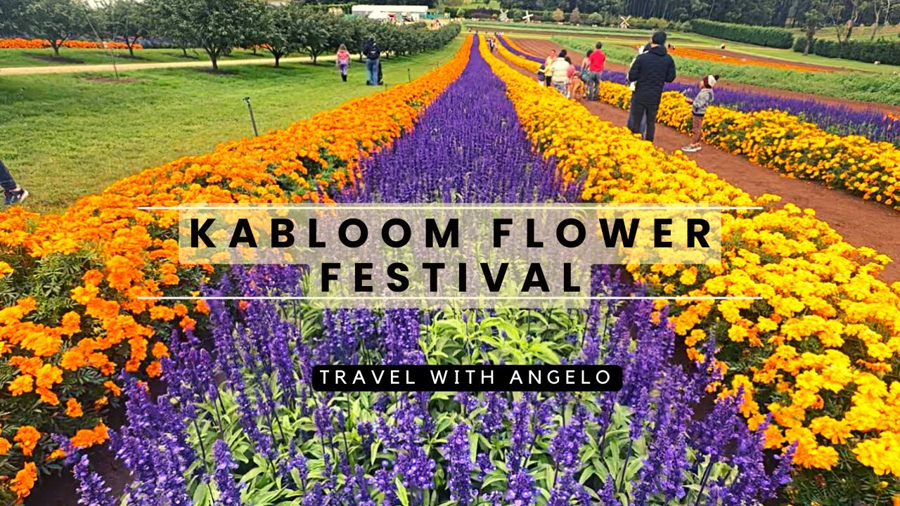Tesselaar KaBloom Flower Festival 2023 | Melbourne, Australia - YouTube