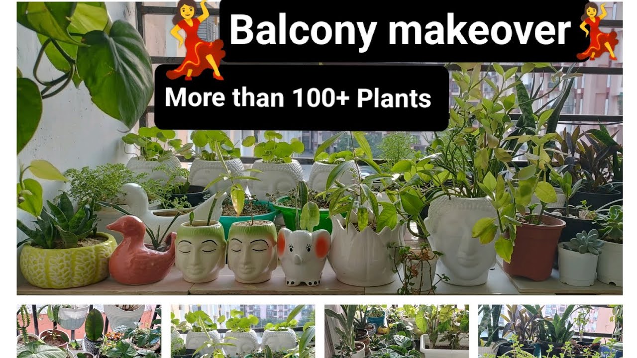 More than 100 + Plants//Balcony makeover//summer preparation # ...