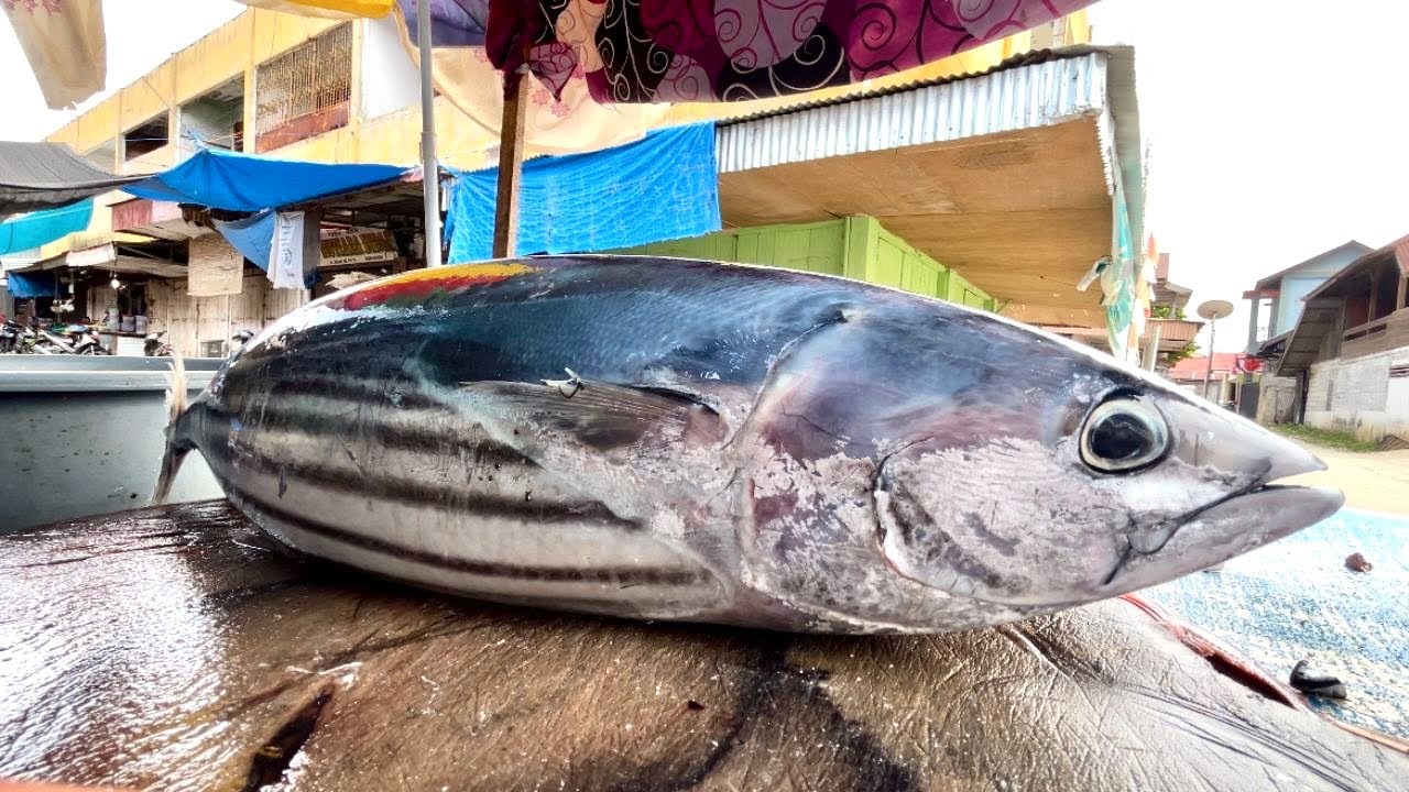 The fastest Skills in Cleaning & Cutting Tuna! - YouTube