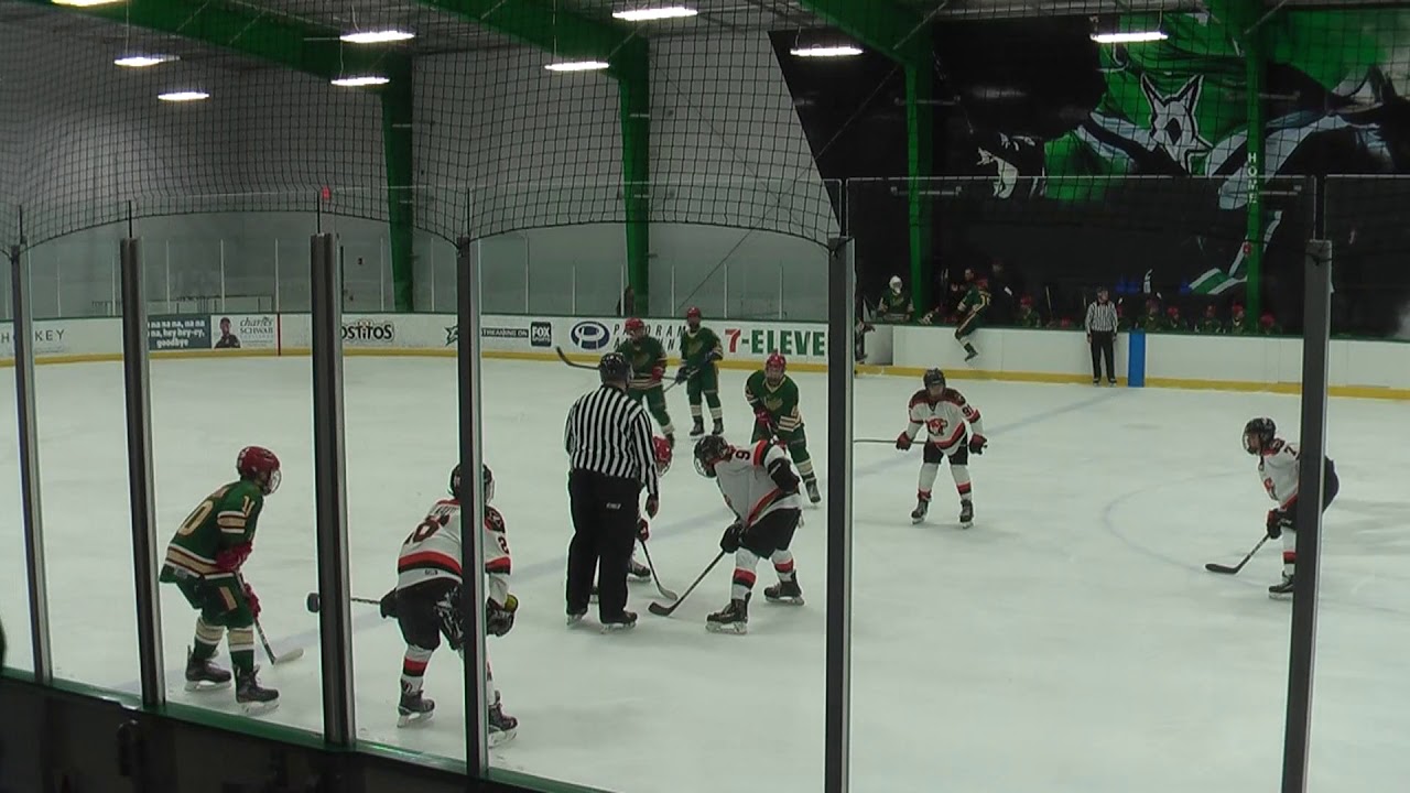 14AA Tigers vs Houston Wild Bowen - YouTube