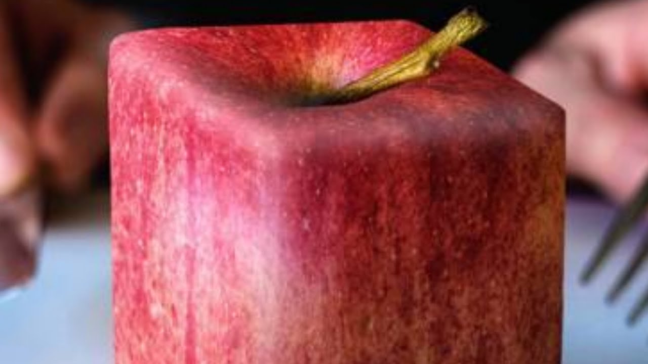 64 Bits 32 Bits 16 Bits 8 Bits 4 Bits 2 Bits 1 Bit Realistic Apple RTX ...