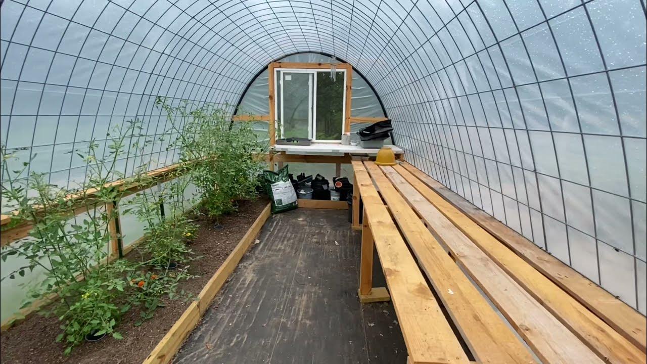 EASY* DIY Cattle Panel Hoop House Greenhouse - YouTube