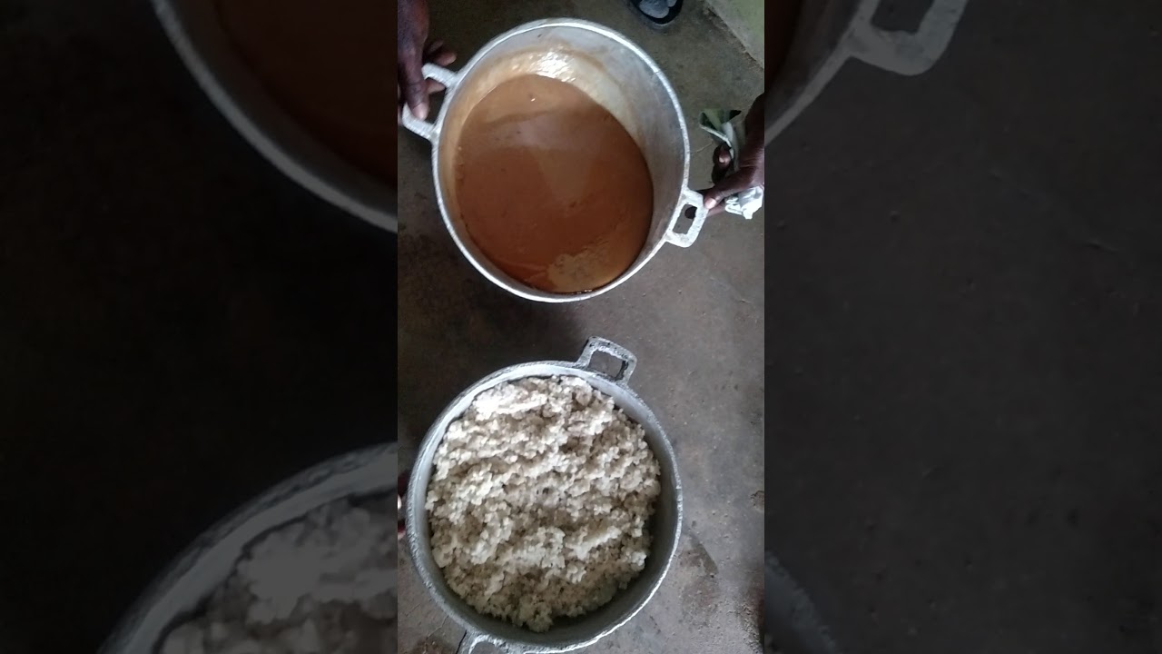 The life of bolga - YouTube