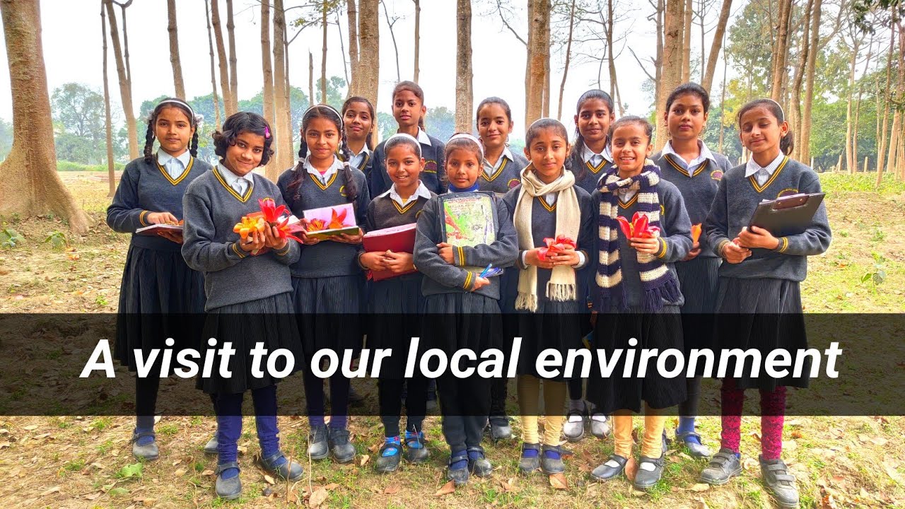 A visit to our local environment... - YouTube