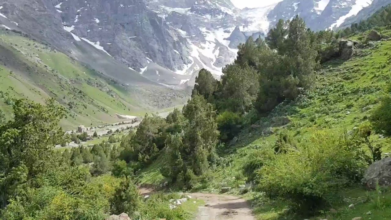 Зардалы 2020 Azamat - YouTube