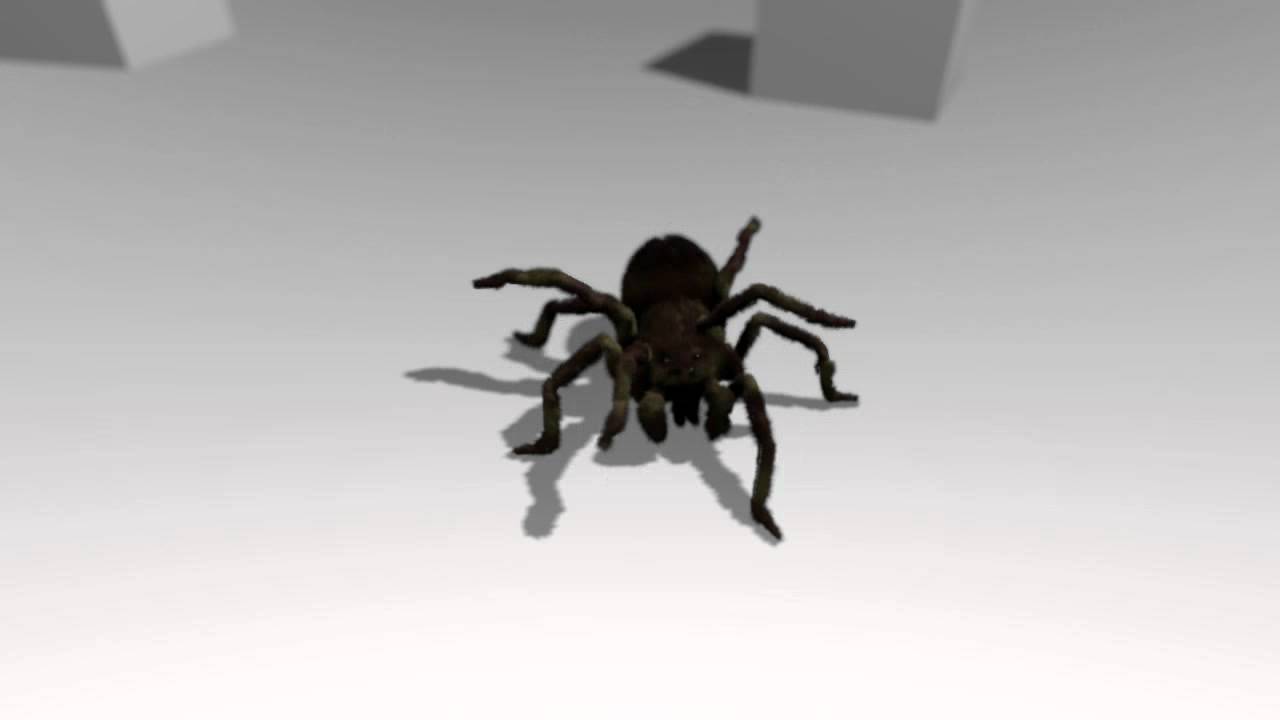 Blender: Animation tests from the next two spider parts. - YouTube