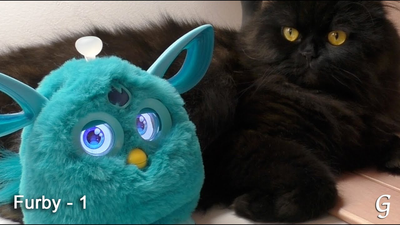 Furby Connect unboxing - YouTube