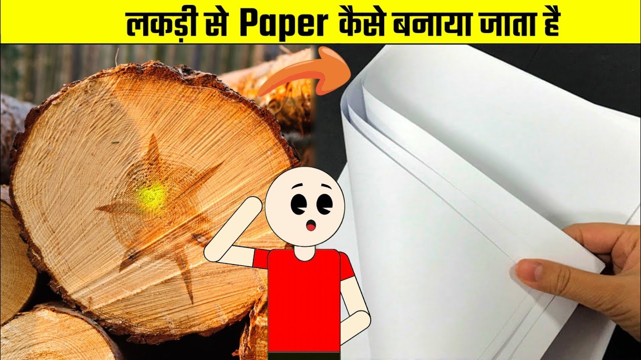 How Paper is Made from Wood 🧠 | Amazing Process Explained! - YouTube