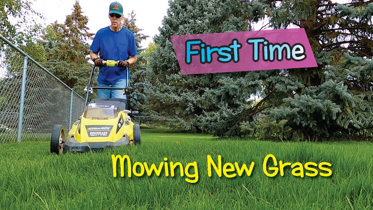 First Mow of the Fall Renovation: 3-Week KBG Success & The Pre-Emergent ...