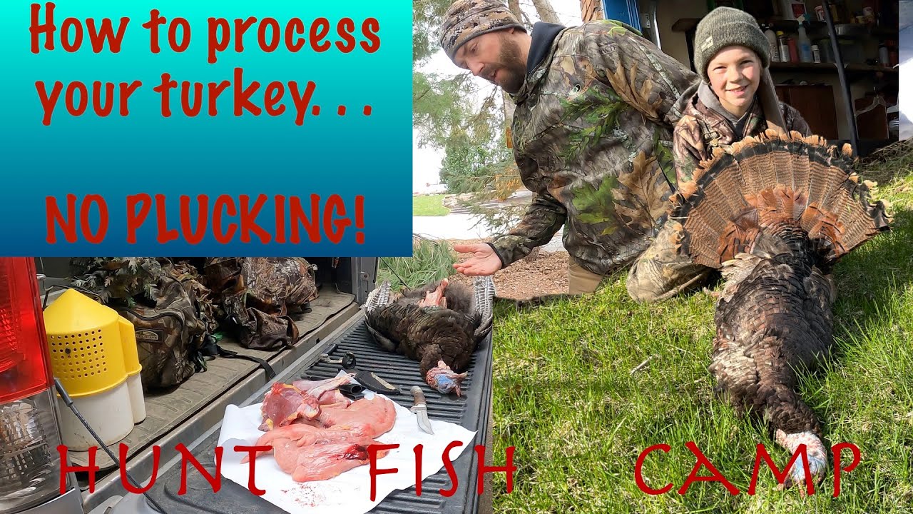 How to Process Your Turkey - Don't pluck a feather! - YouTube