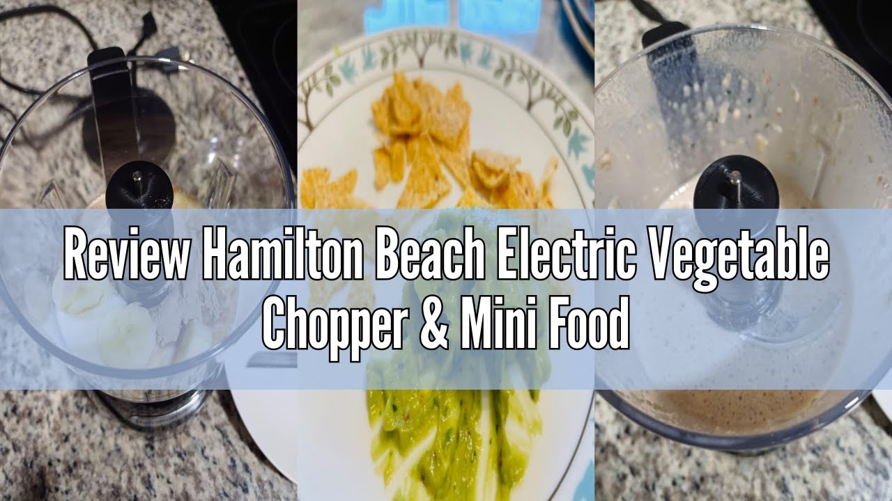 Review Hamilton Beach Electric Vegetable Chopper & Mini Food Processor ...