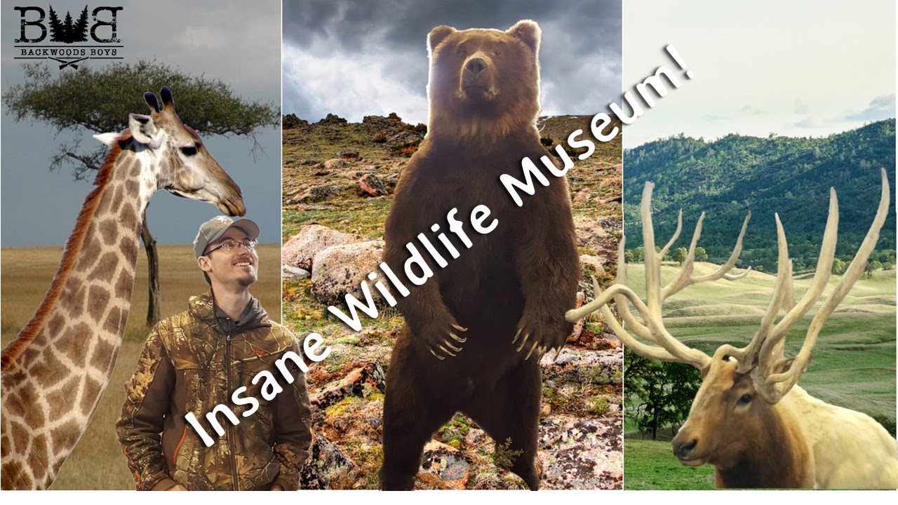 Legends Ranch Wildlife Center - YouTube