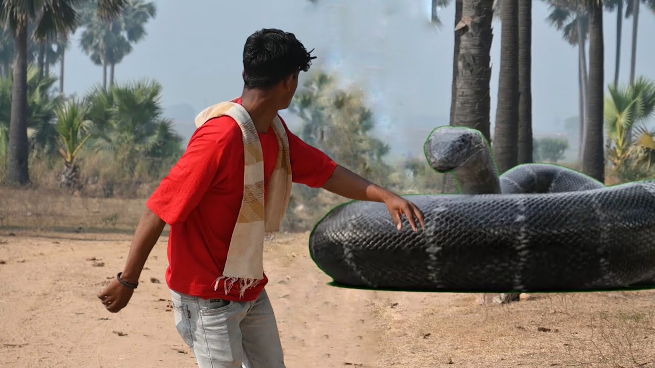 Attack anaconda Snake Village boy free fire playing time attack ...