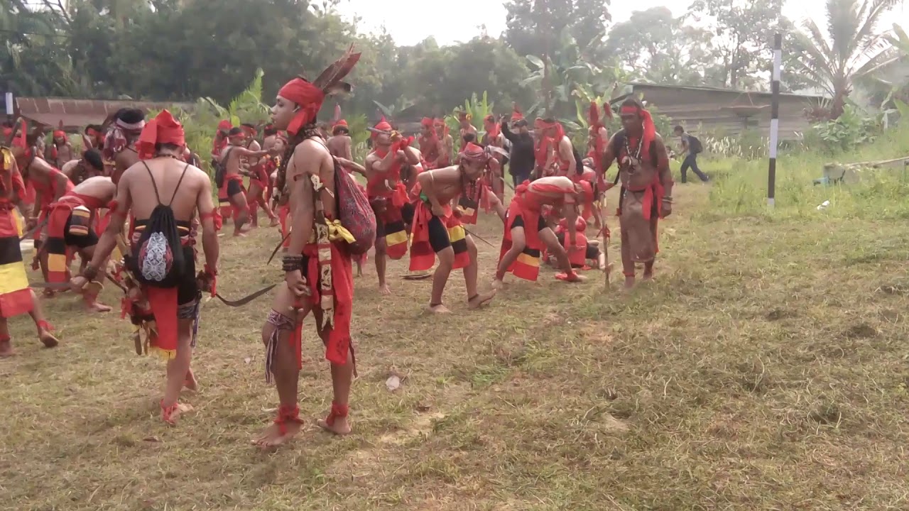 tariu borneo bangkule rajakng - YouTube