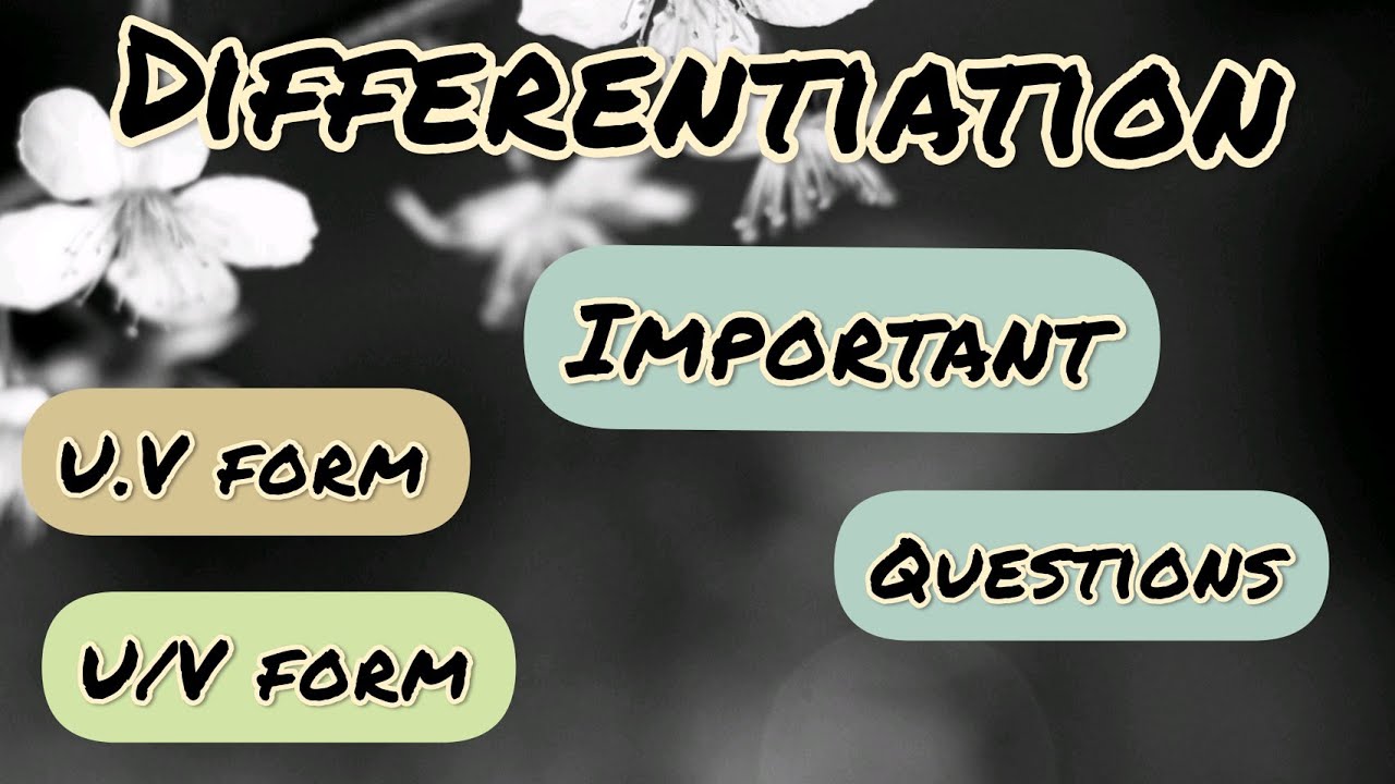 Differentiation||u.v form|| u/v form||Important Questions||12th||B.com ...