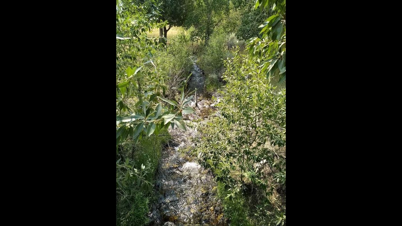 Forrest Fenn - Reese Air Force Base - YouTube