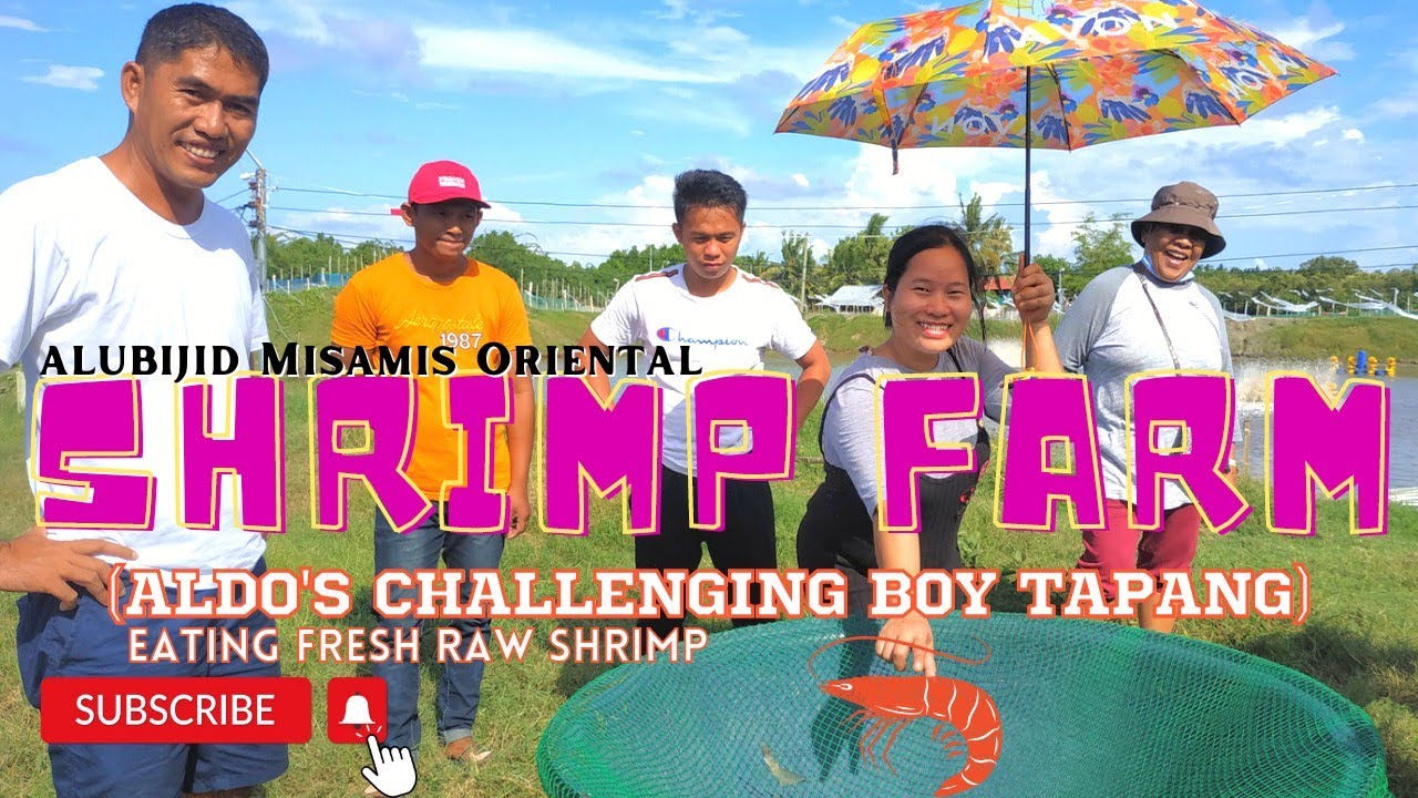 Shrimp Farm escape - YouTube