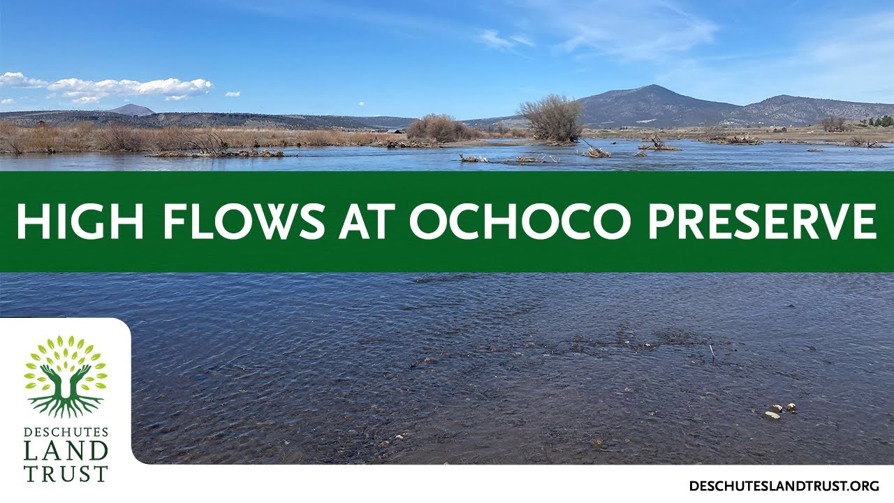 High Water Events Test Ochoco Preserve - YouTube