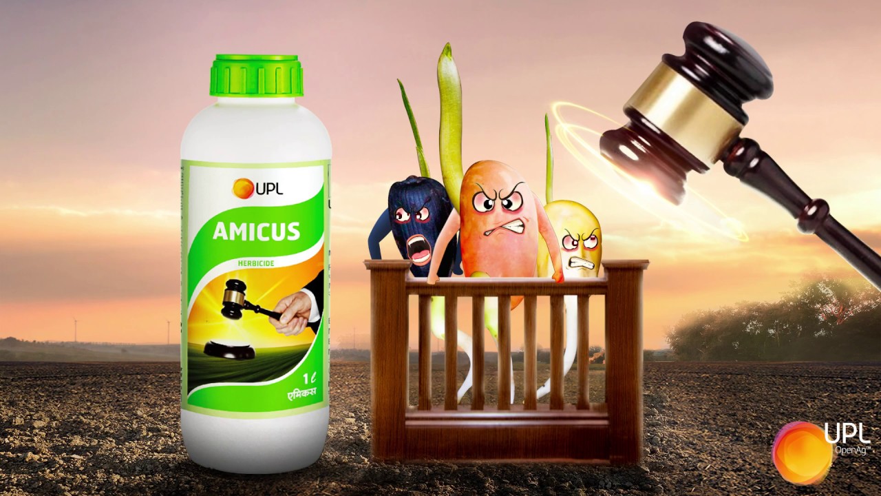 Amicus product judgement video [Telugu] - YouTube