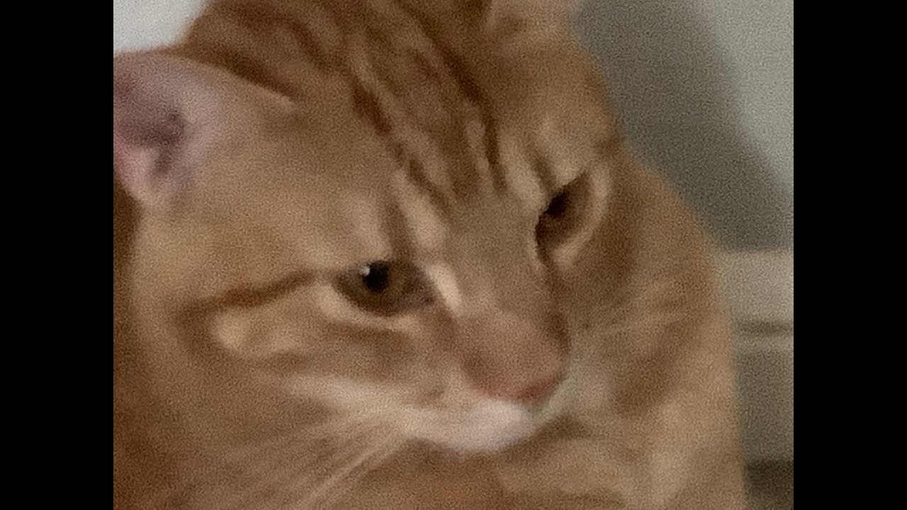 sususususus suscribe - YouTube