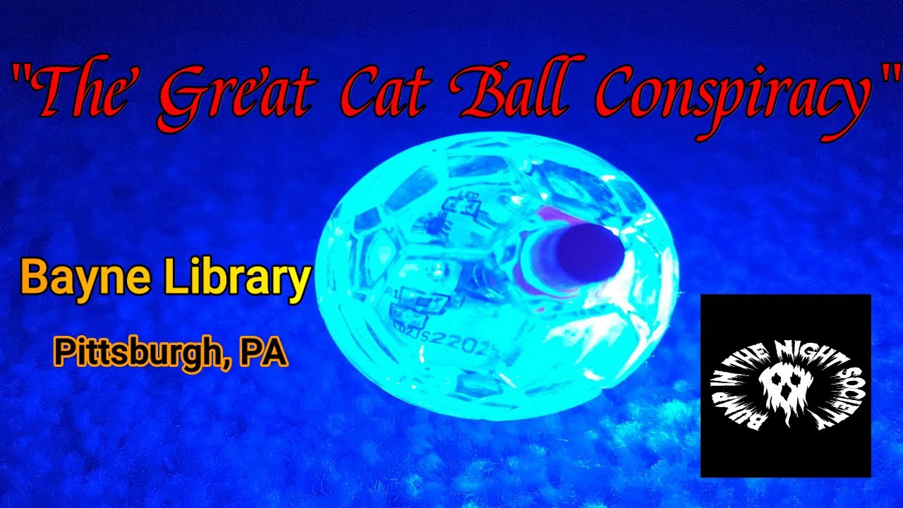 "The Great Cat Ball Conspiracy" - Bayne Library, Pittsburgh, PA - YouTube