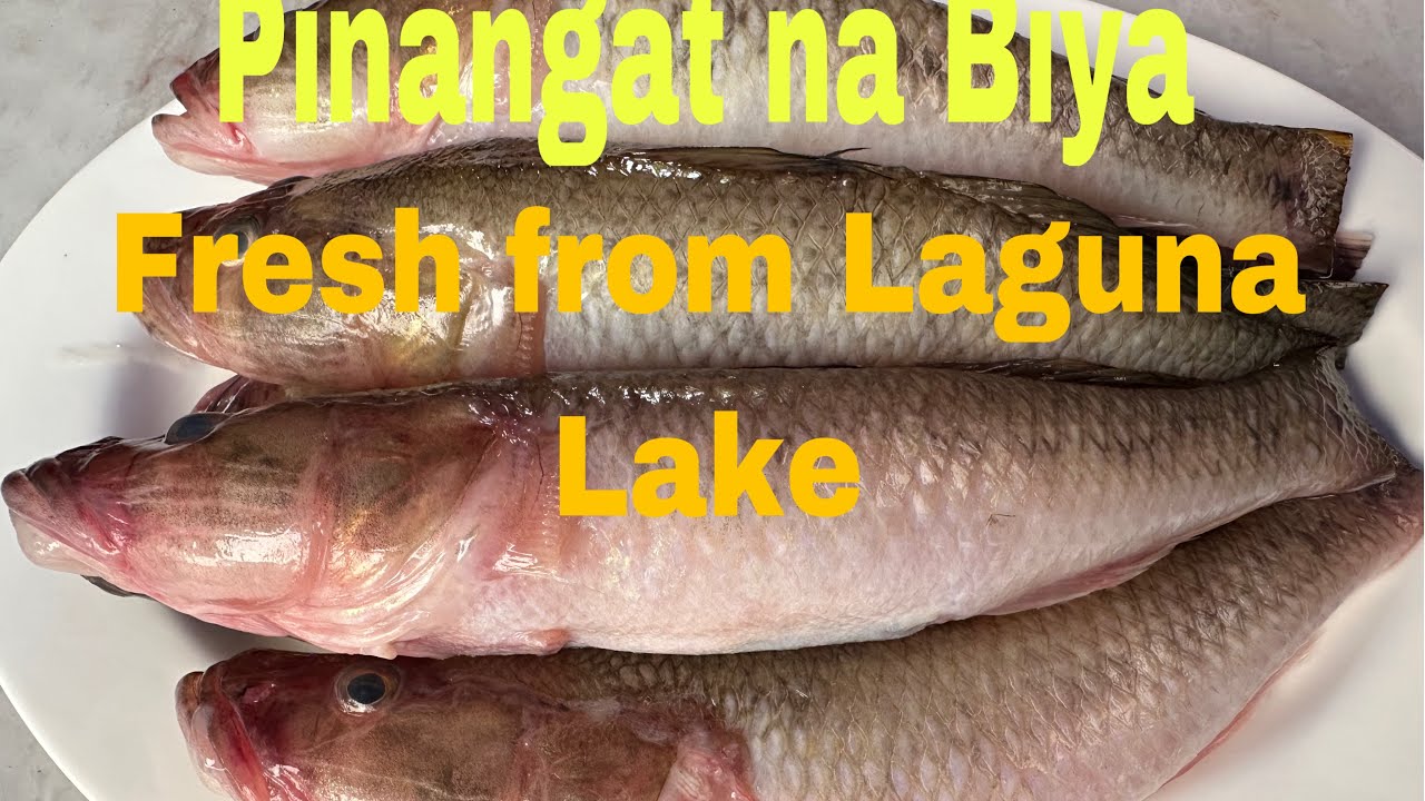 Pinangat na Biya / #cooking #food #travel #fresh #fiss #viral # ...