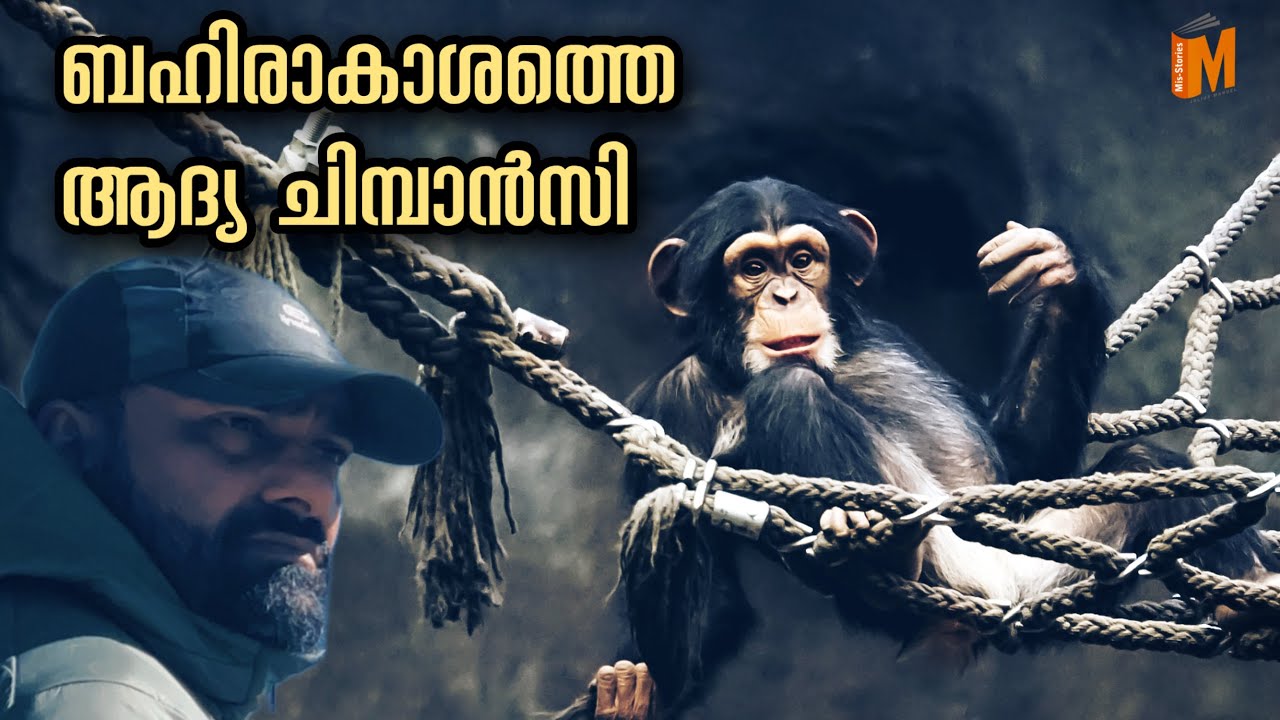 Ham - The AstroChimp | First Chimpanzee in Space | Julius Manuel ...