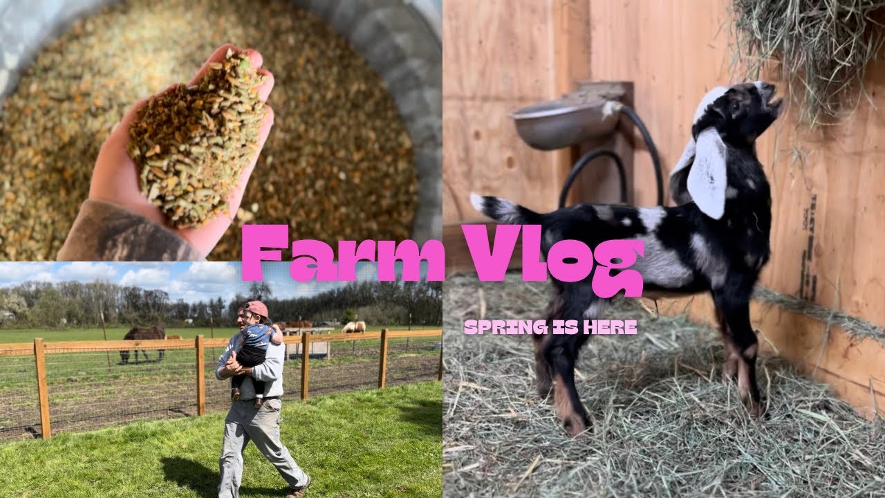 Farm Vlog | Spring is Finally Here! - YouTube