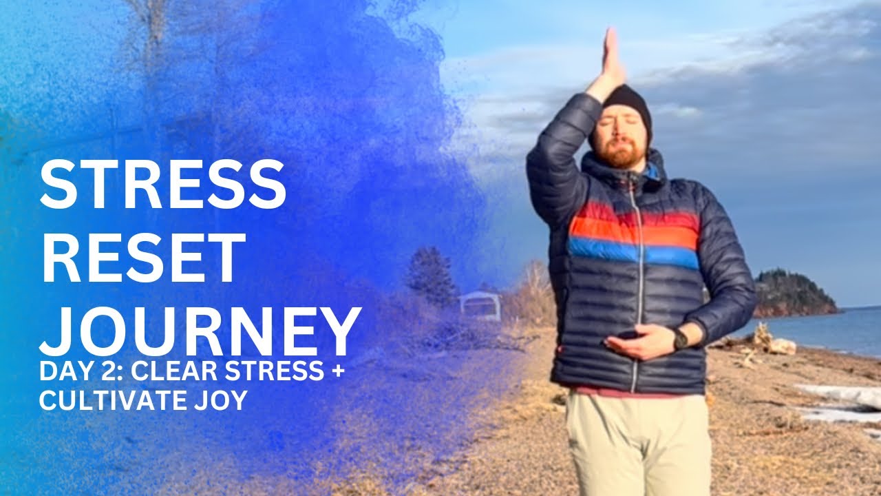 Day 2 – Clear Stress & Cultivate Grace and Joy | 7-Day Qigong Stress Reset - YouTube