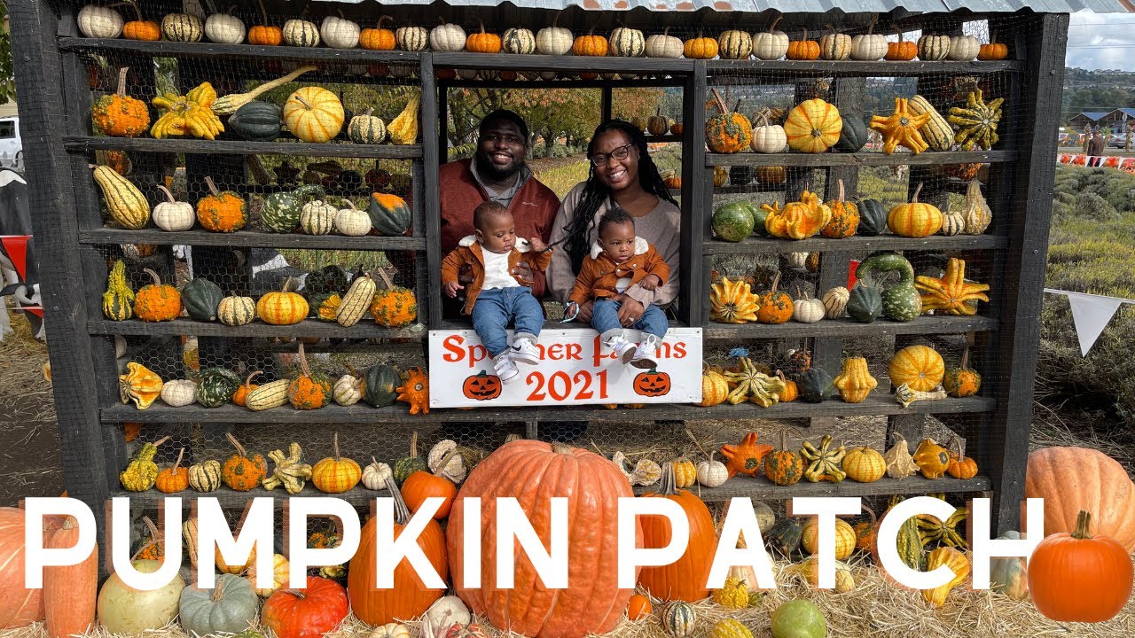 DAY AT THE PUMPKIN PATCH! - YouTube