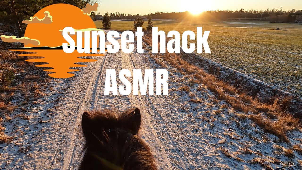 Hacking out during sunset | ASMR - YouTube
