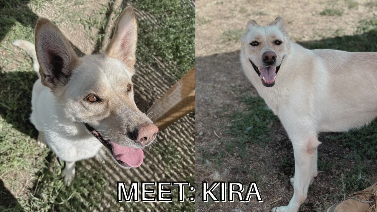 MEET KIRA - YouTube