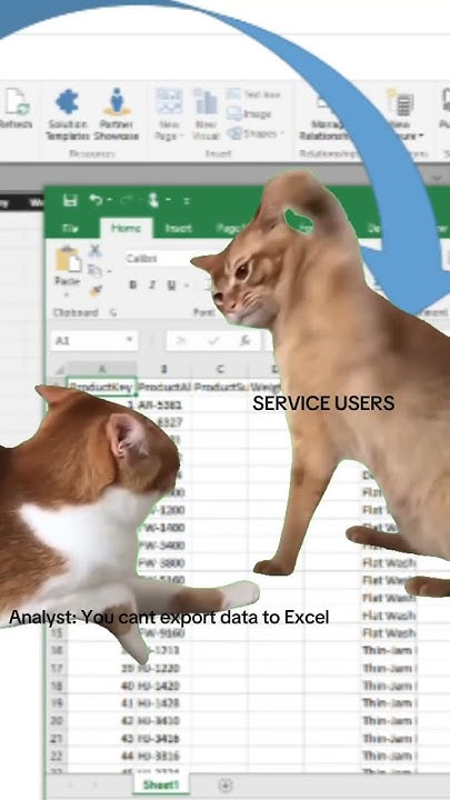 Export To Excel Meme - Power BI - YouTube