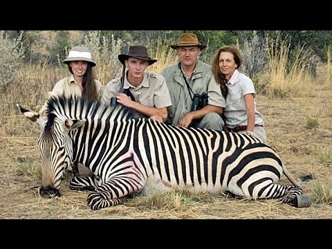 SAFARI | Trailer deutsch german [HD] - YouTube