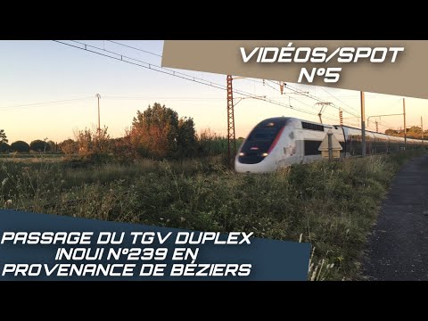 PASSAGE DU TGV DUPLEX INOUI N°239 EN PROVENANCE DE BÉZIERS - YouTube