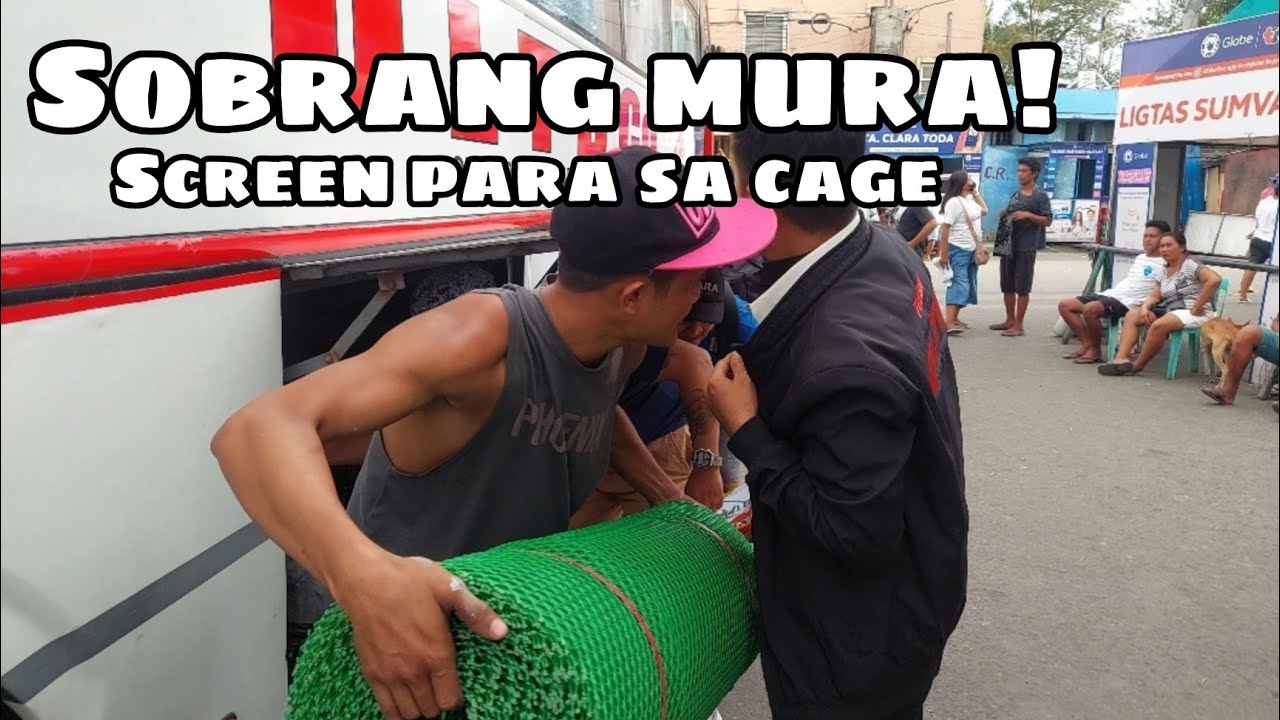 Quail Farming | Sobrang mura ng screen! | Gumagawa po kami ng Quality ...
