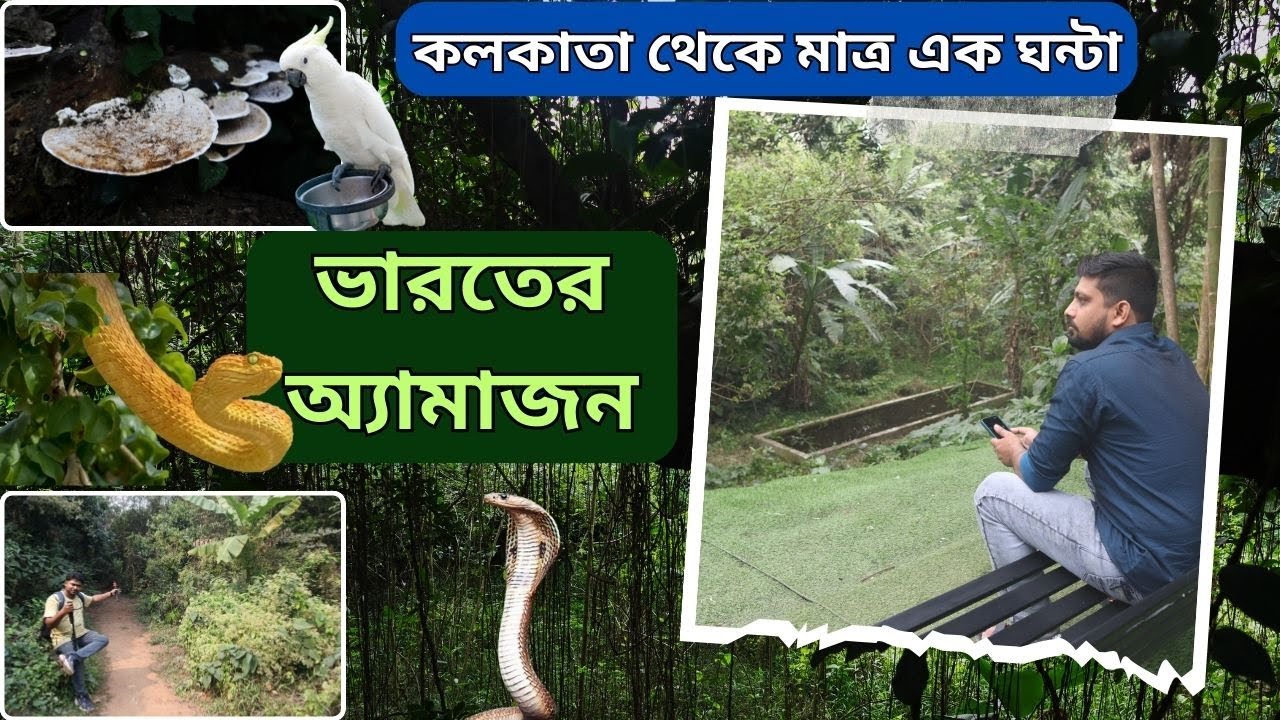 CHINTAMANI KAR BIRD SANCTUARY | কলকাতার অ্যামাজন |Weekend Destination ...