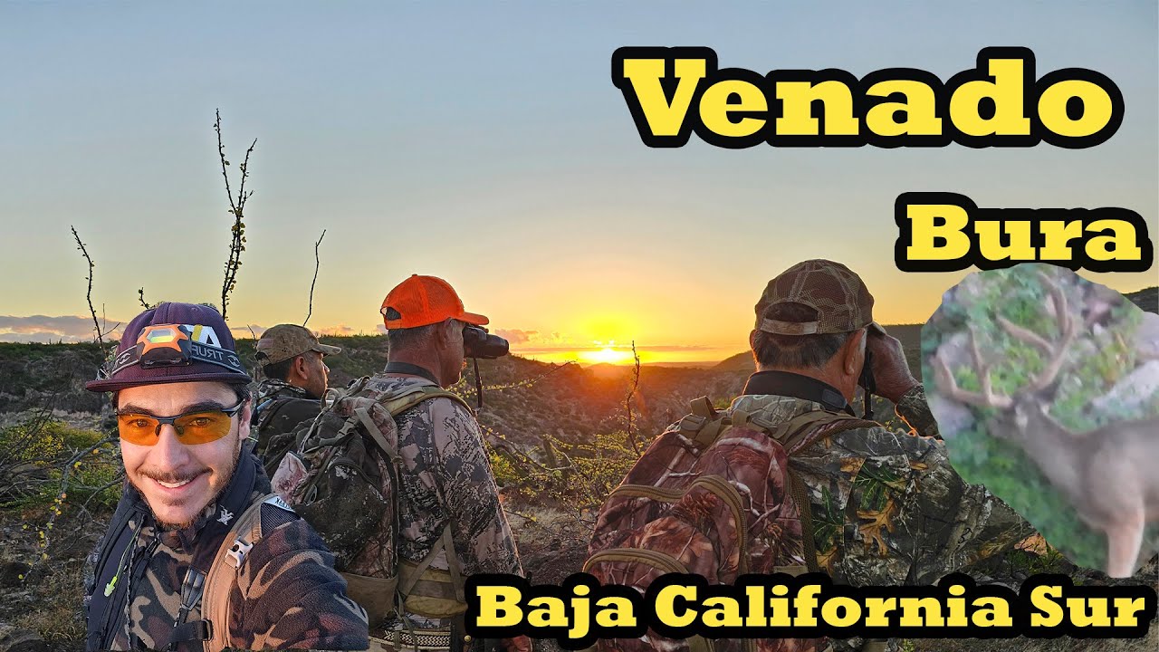 Cazando El mas grande de los Venados en Mexico Venado Bura Mule deer ...