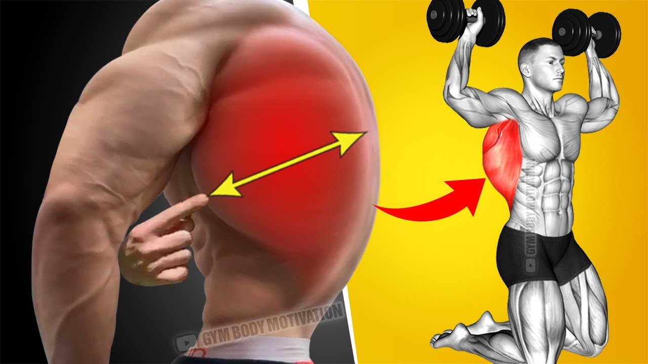 Great Exercises To Activate Growth Back Muscle Faster - YouTube