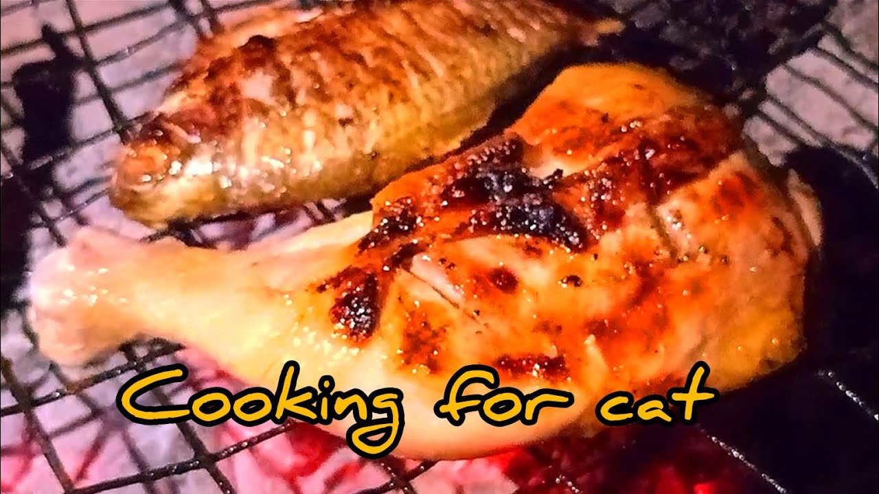 cooking for cat - YouTube