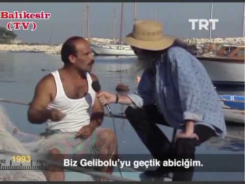 AVCI Hikâyesi