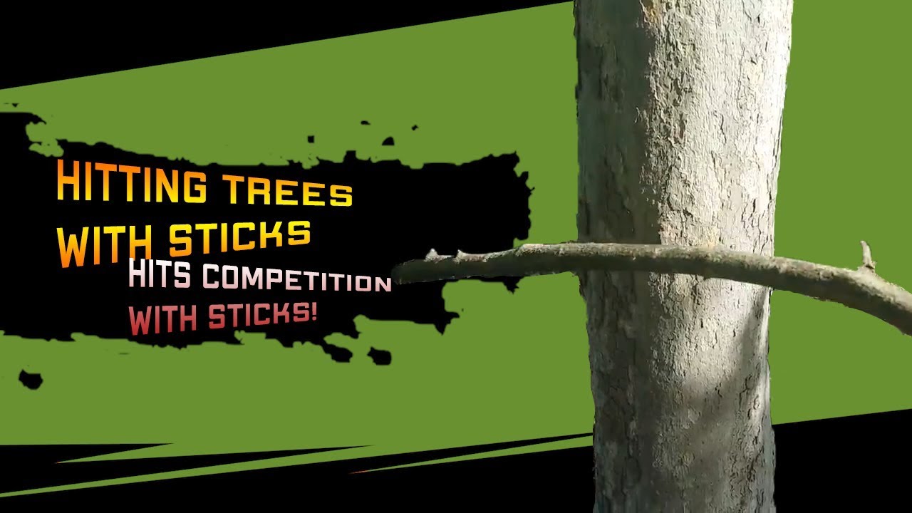 Hitting Trees With Sticks Is Here! - YouTube