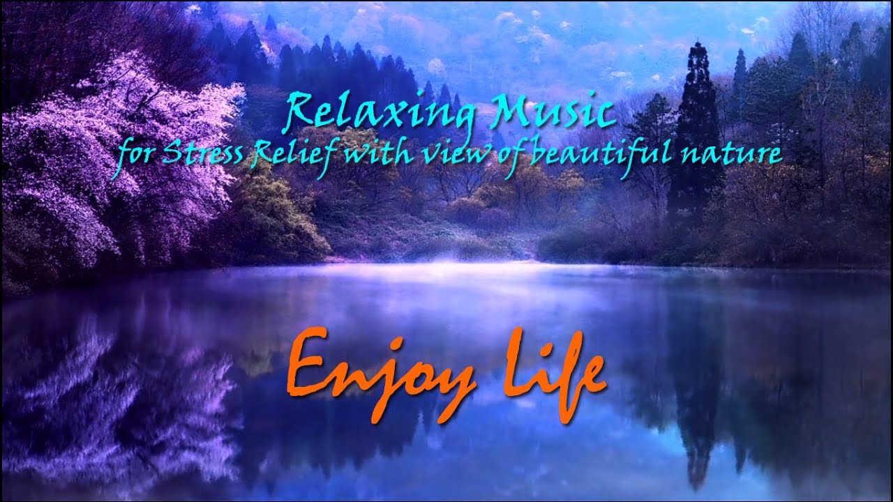 Relaxing Music for Stress Relief with view of beautiful nature - Enjoy ...