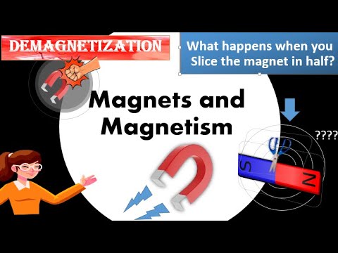 MAGNETS - Why They're Important and What Happens When You Cut Them In ...