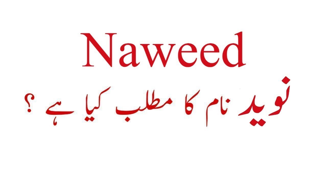 Naweed Name Meaning In Urdu l Hindi - YouTube