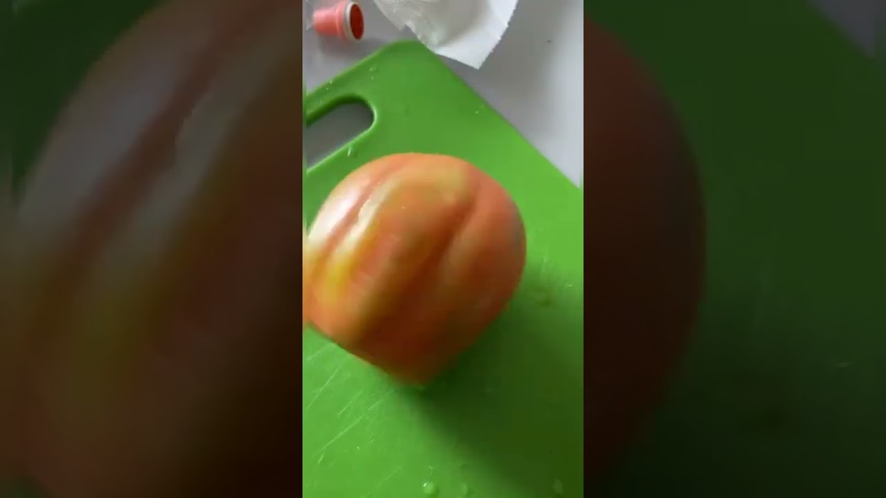 panino senti st'olive só bone só greche - YouTube