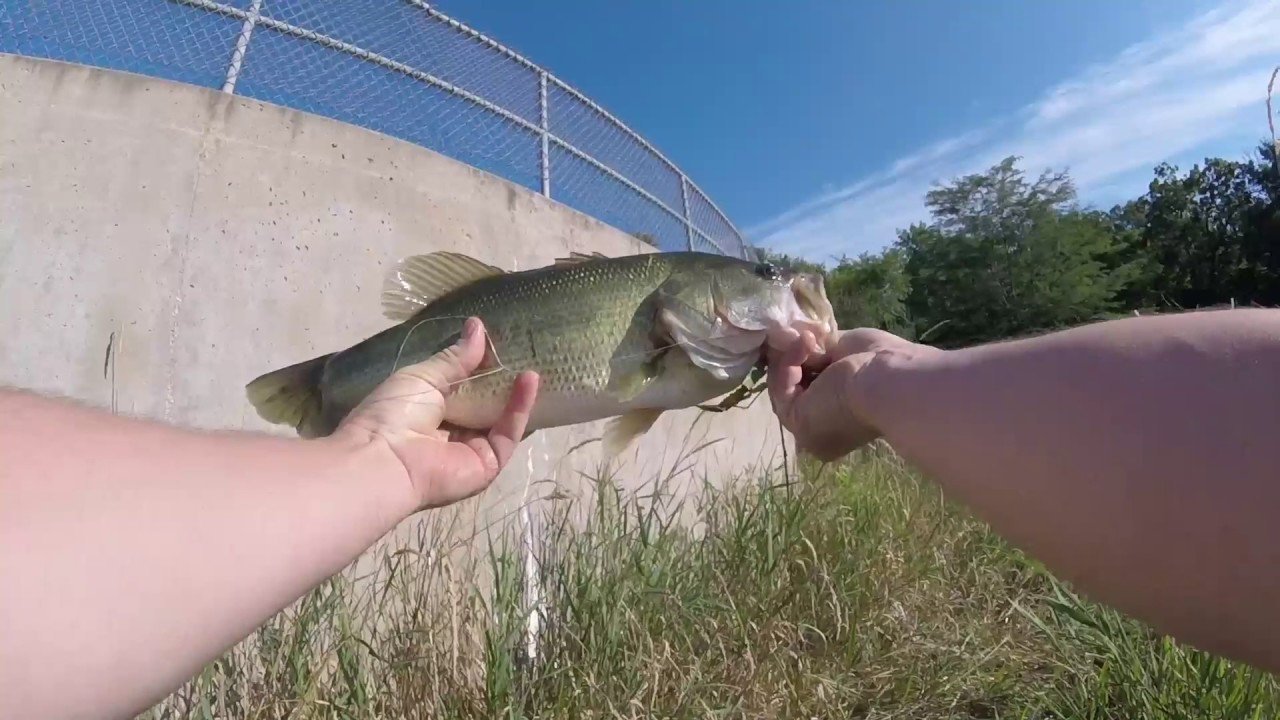 Caught a huge Bass in the Jungle! - YouTube